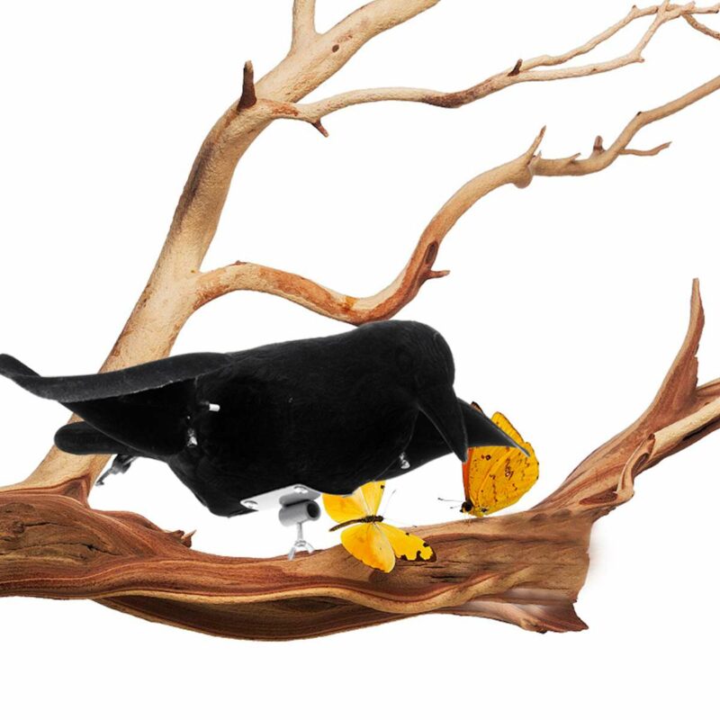 Realistic Plastic Crow Decoy For Hunting Garden Decoration Bird Display ...