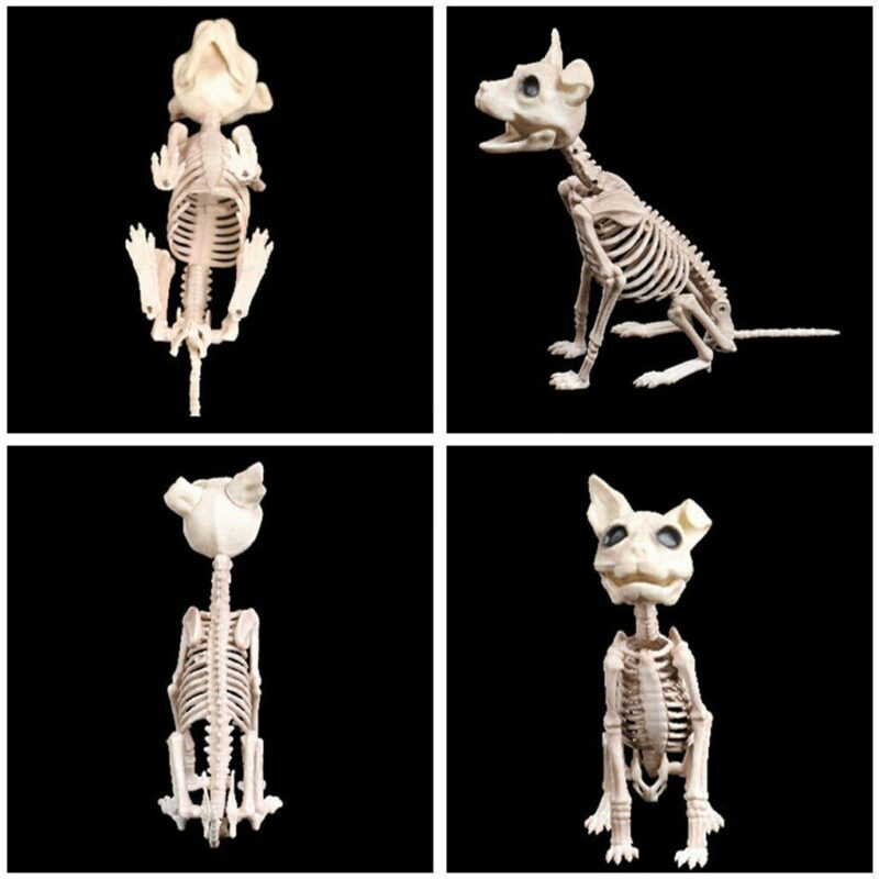 Hyena Skeleton Prop Realistic Animal Bones For Horror Party Decorations ...