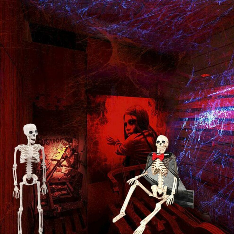 Lifesize Poseable Skeleton Prop Human Anatomy Model For Halloween Party ...